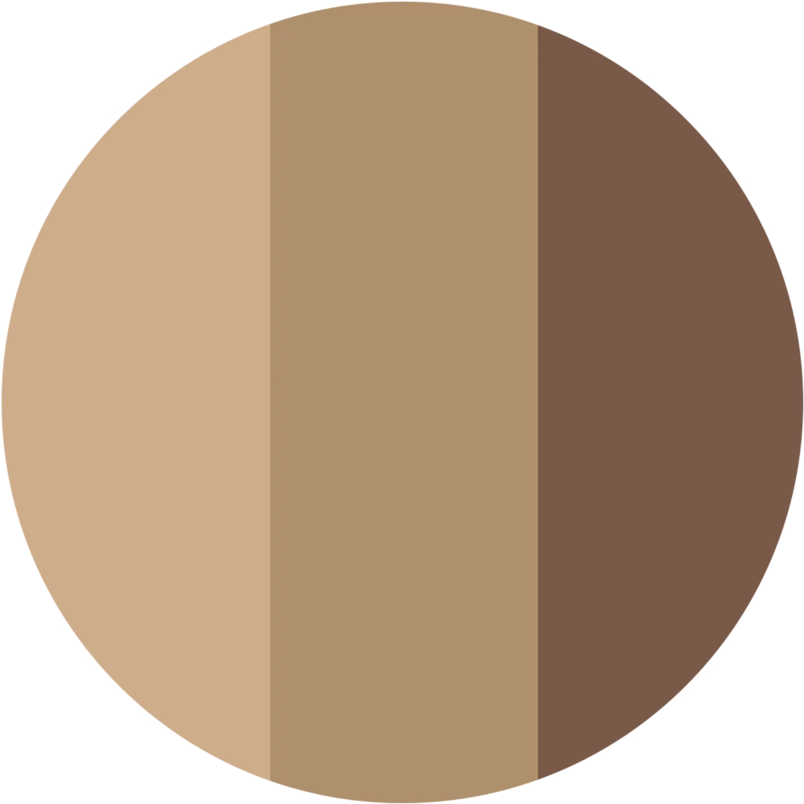 JASON WU BROWS BEFORE BOYS 01 EDDIE EYEBROW AND HAIRLINE POWDER 6.4g ...